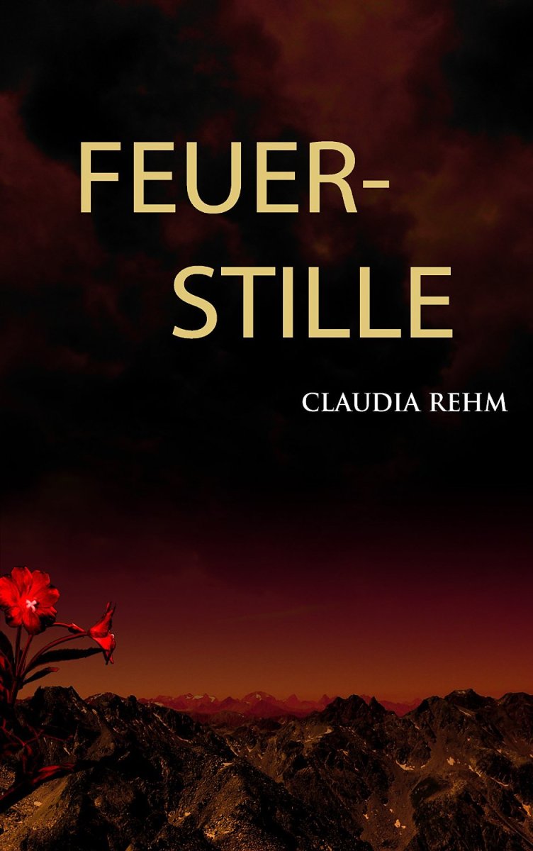 Meine Buchvorstellung: Claudia Rehm – Feuerstille – Lesezauber